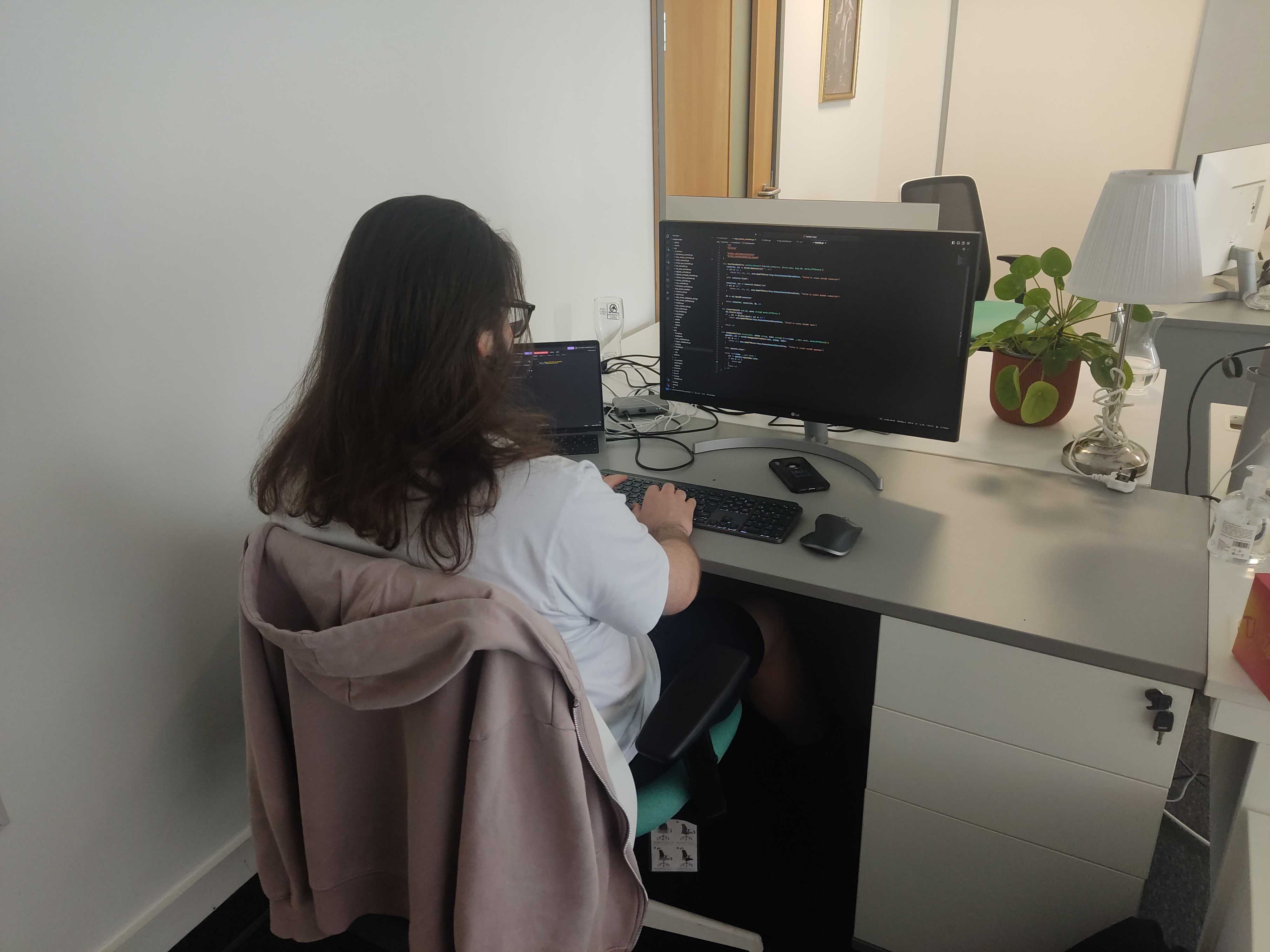 Scapegoat 2024: The Software Developer Scoop - Jamescape